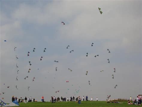 Proof That Stephen Hoath Is A Rev God Open Topic Revolution Forum