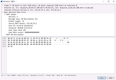 Analyze OSPF Packet Types And States Complete Guide