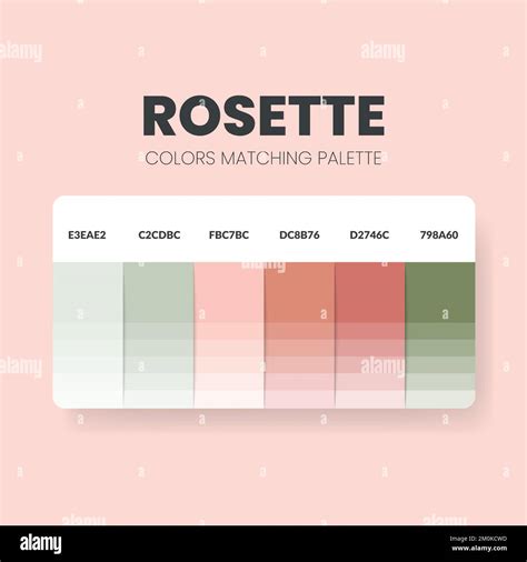 Farbpalette In Einer Kollektion Mit Dem Thema „passion“ Diagrammvorlage Für Farbschema Oder