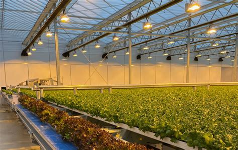 Fully Automated System Green Automation