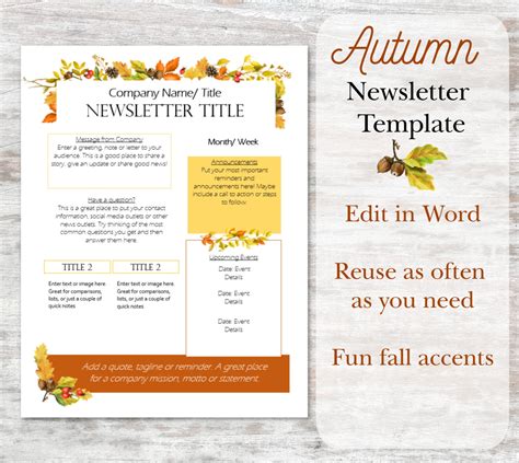 Editable Newsletter Template Ms Word Newsletter Template Etsy Australia