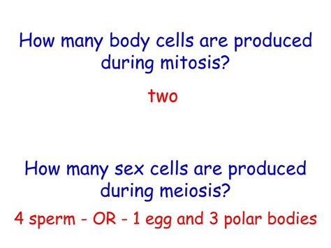 The Cell Cycle And Mitosis Ppt Download