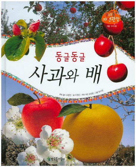 동글동글 사과와 배 유영진 교보문고