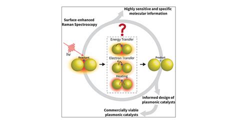 Decoding Chemical And Physical Processes Driving Plasmonic