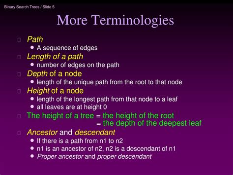 ppt trees and binary search trees in computer science powerpoint