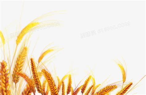 Png Vwxin On