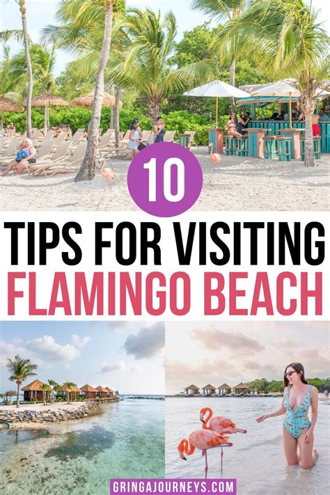 How To Visit Flamingo Beach Aruba Day Passes Cost Pro Tips Artofit