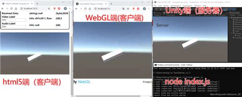 Unity3d游戏画面实时同步html5或webgl中（基于fmetp Stream）fmetp Stream Csdn博客