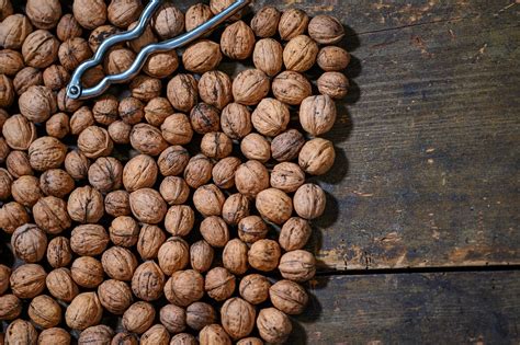Nuts Walnuts Christmas Free Photo On Pixabay