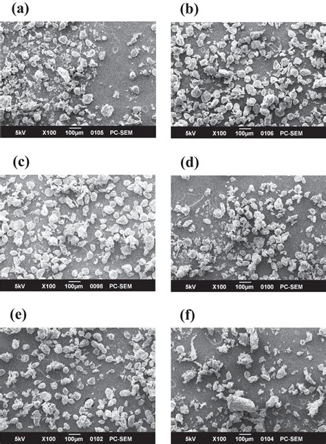Scanning Electron Micrographs Of Jackfruit Seed Flours A Cabinet Dried