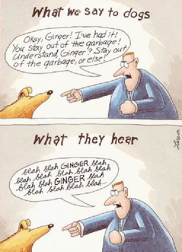 7 2 Types Of Listening Social Sci Libretexts