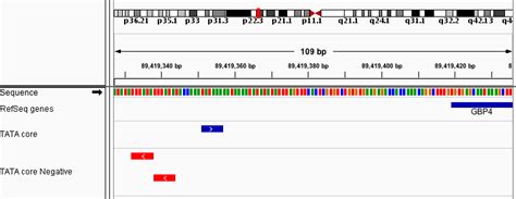 Motif Finder Igv Desktop Application