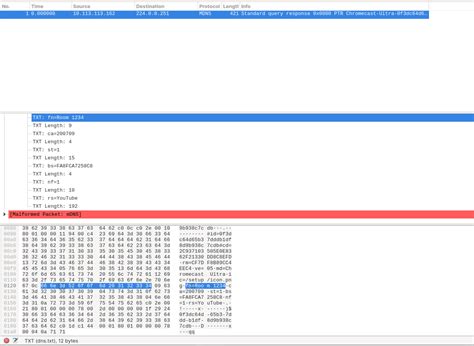 Linux How To Modify Pcap File For Additional Information In Packet