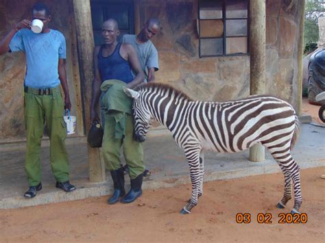 A Haven For Wildlife And Communities The Vision Of Sera Wildlife