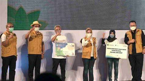 Petani Jamur Kayu Di Jabar Hasilkan Rp 4 5 Juta Per Bulan