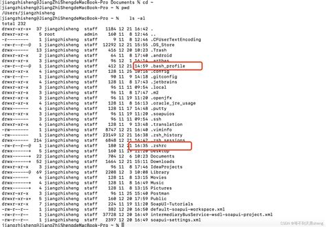 踩坑mac配置~zshrc文件和~bashprofile导致zsh所有命令失效问题 Csdn博客