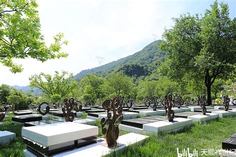 九公山长城纪念林墓地价格多少九公山长城纪念林官网价格介绍 哔哩哔哩