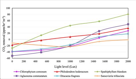 Light Response Curves Of Plant Species Download Scientific Diagram