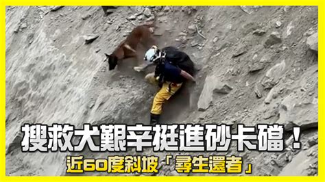 搜救犬艱辛挺進砂卡礑 近60度斜坡尋生還者 播吧BOBA ETtoday新聞雲