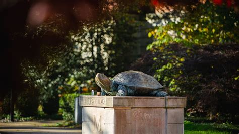 Workumd University Human Resources