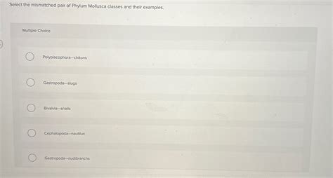 Solved Select The Mismatched Pair Of Phylum Mollusca Classes