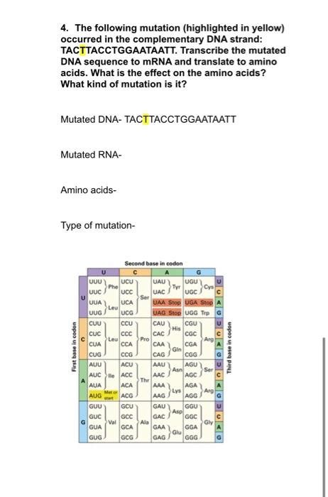 solved 4 the following mutation highlighted in yellow