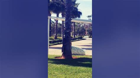Hassan Ii Park Rabat منتزه الحسن الثاني الرباط Youtube