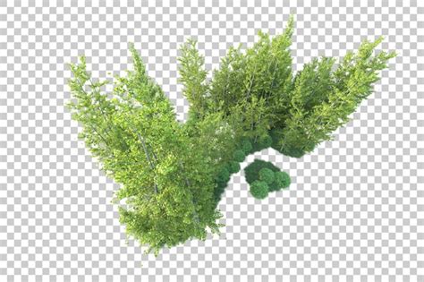 Paisaje verde aislado sobre fondo transparente ilustración de renderizado d Archivo PSD Premium