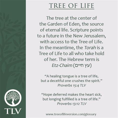 Pinterest Tree Of Life Symbol Tree Of Life Tattoos And Tree Of Life