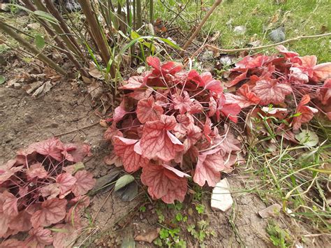 World Geodemo Photography