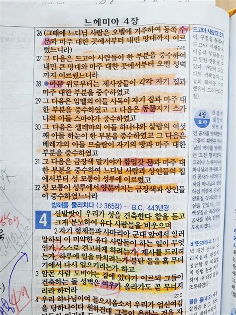 맥체인 성경읽기 1월 13일