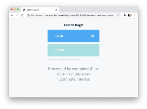 Deploying Containers With The AWS Copilot CLI Part 1 Maartenbruntink Nl