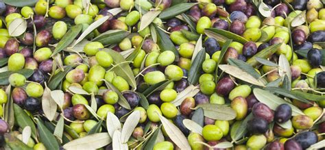 Olives