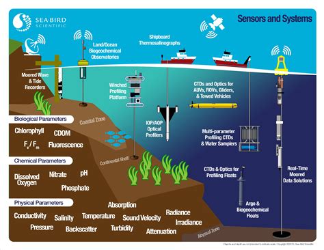 Sea Bird Scientific Sensors And Systems Chlorophyll Sea Birds Scientific Chemical Sensor