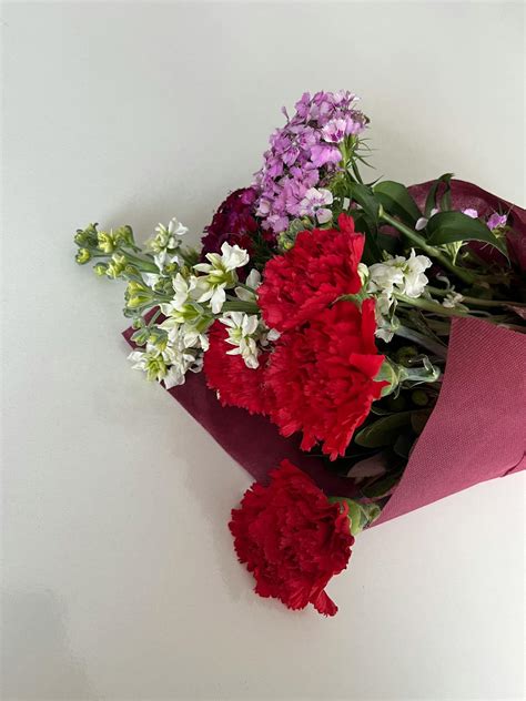 금어초 꽃 꽃 사진 꽃 선물 꽃 수집 꽃 장식 꽃꽂이 꽃다발 꽃잎 디스플레이 보라색 보라색 꽃 봄 꽃 부드러운 꽃잎 빨간 빨간 카네이션 생생한