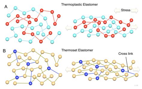 A Beginners Guide To Elastomer Properties And Applications Carolinejoy Blog