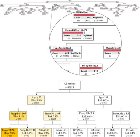 The Classification Tree Models To Predict UDs A The Final Download Scientific Diagram