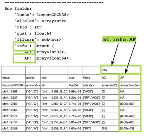 Best Practices On The Dnanexus Platform Hail Skills And Concepts