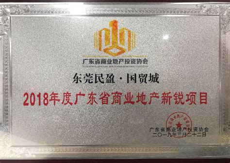 喜讯 民盈·国贸城荣获2018年度广东省商业地产新锐项目奖东莞市民盈集团股份有限公司
