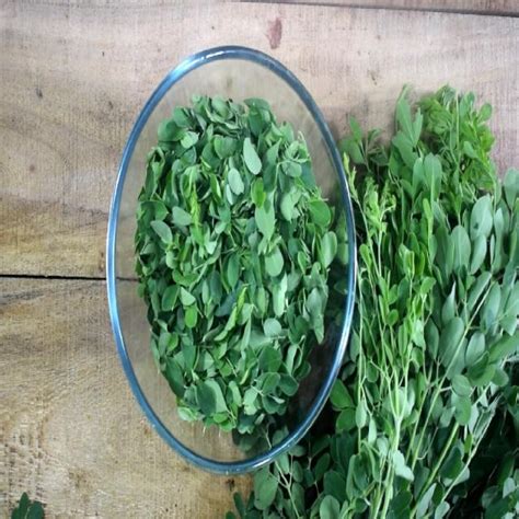 Food Ingredients Dataset Object Detection Model V4 2023 10 06 11 10pm By Food Recipe