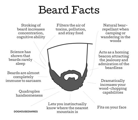 Funny Quotes About Beards Quotesgram