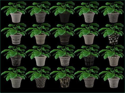 Riekus13 — Black And White Planters