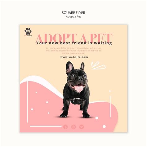 Psd De Peluqueria Canina Plantillas Psd Gratuitas De Gran Calidad Para