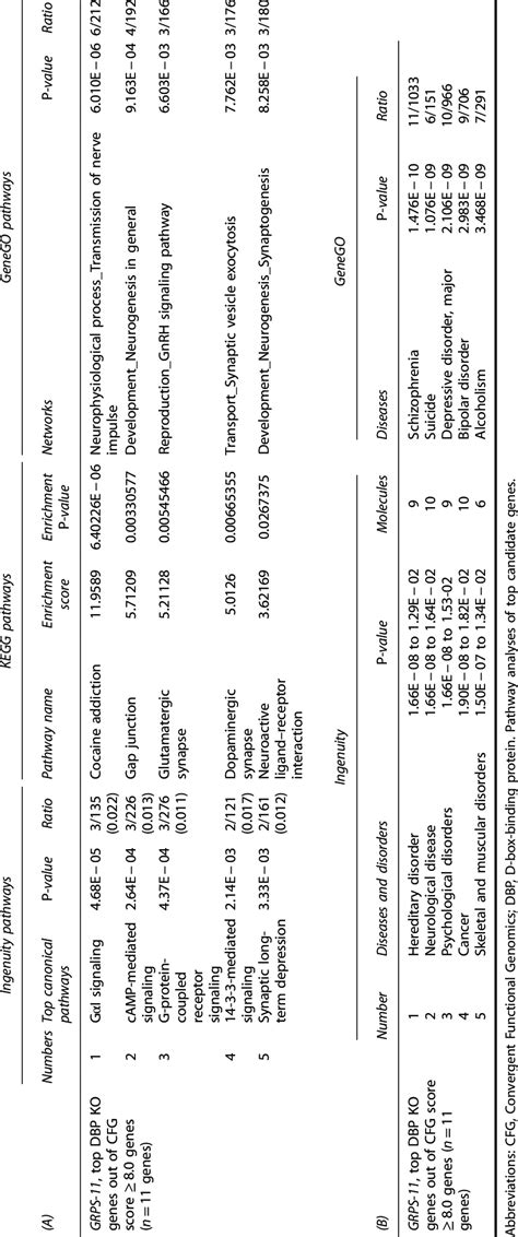 pathway analyses a biological pathways b disease and disorders