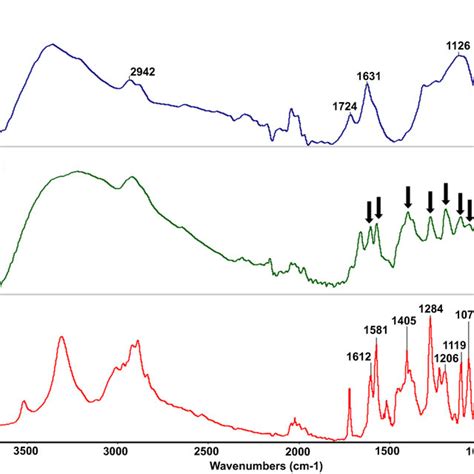 Ftir Spectra Of Unmodified Nd Blue Dox Red And Nd Dox Green