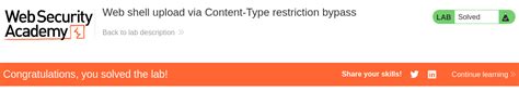 File Upload Vulnerabilities Pentest Journeys