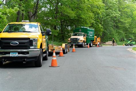 Home Woodchuck Tree Service