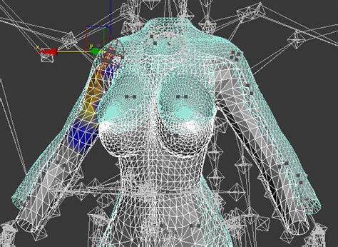 Pasting Bone Weights In Mirror Mode For 3ds Max Skyrim Technical Support Loverslab