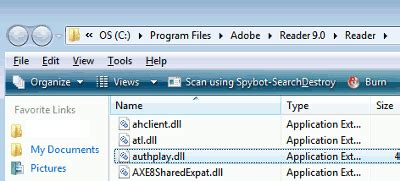 A Consuming Experience Adobe Reader Flash Acrobat Security Issue