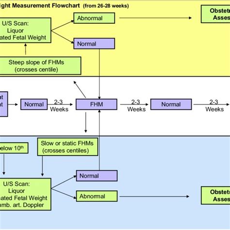 Method Of Fundal Height Measurement Download Scientific Diagram